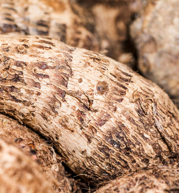 Fresh Yam – 30lb Box (12 Count) – Manzanilla Garden Packs